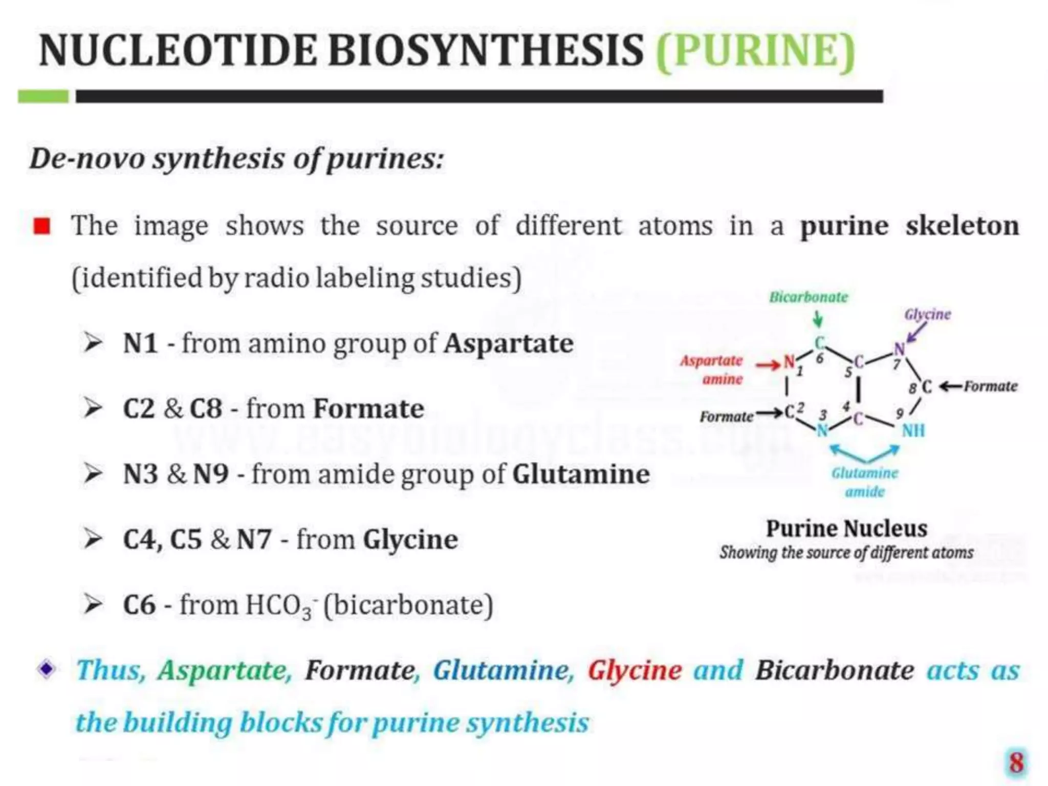 Biosynthesis of purines and pyrimidines | PPTX