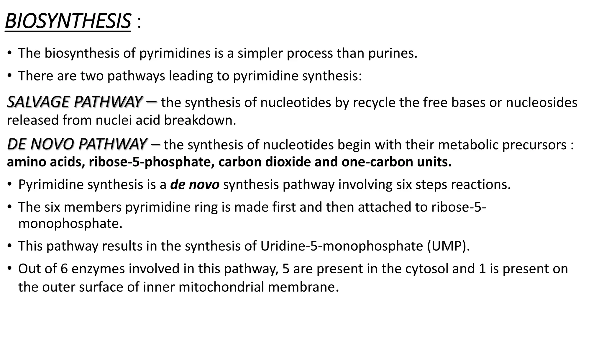 BIOSYNTHESIS OF PYRIMIDINES.pptx