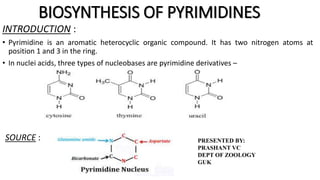BIOSYNTHESIS OF PYRIMIDINES.pptx