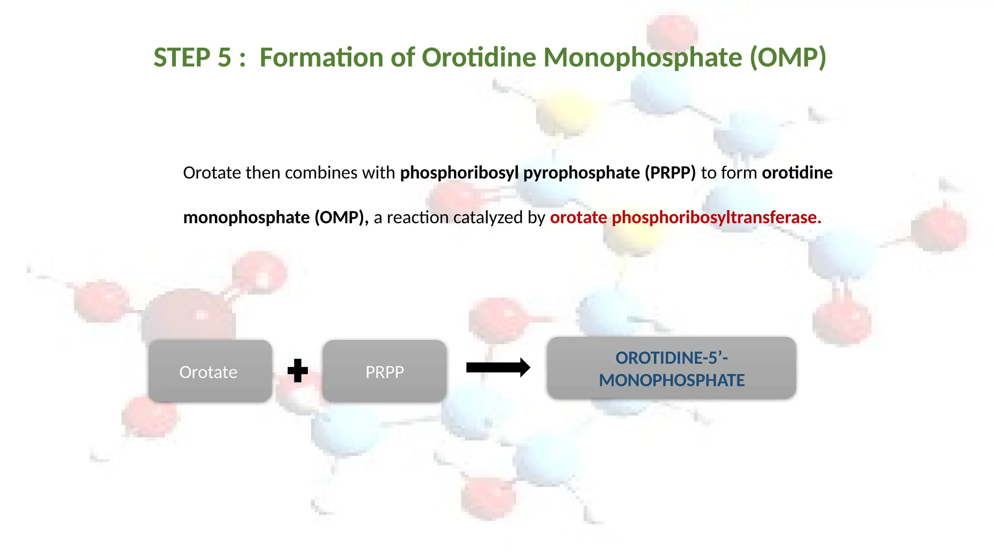 Biosynthesis of Pyrimidine with steps.ppt