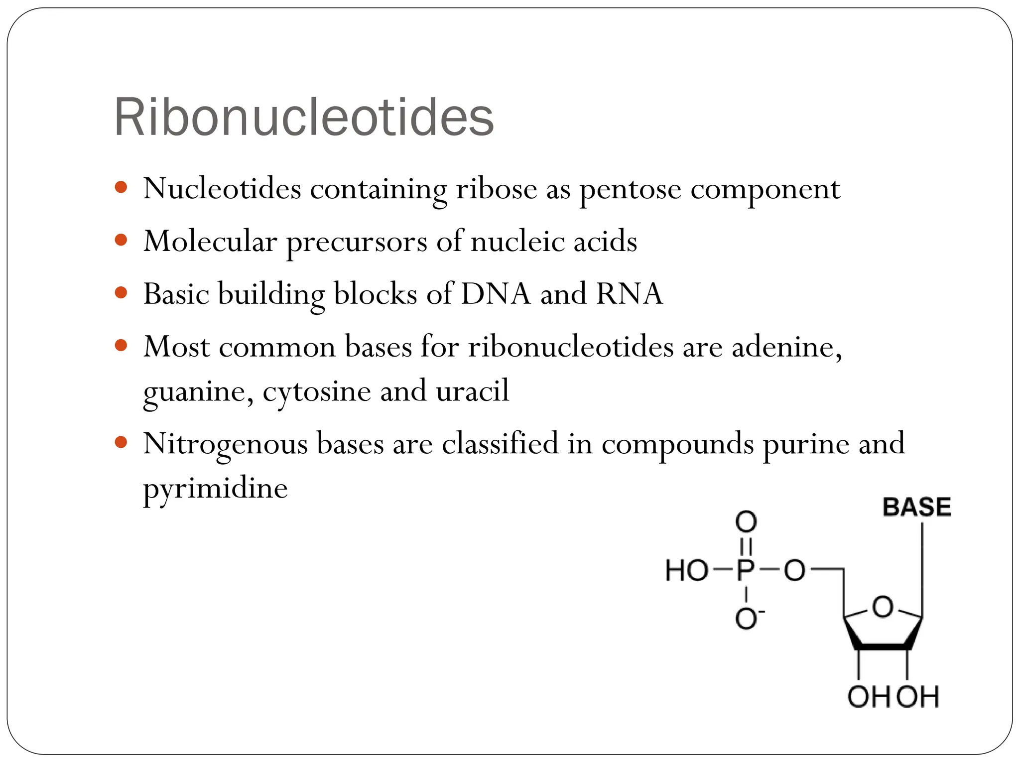 biosynthesis_of_ribonucleotides_and_deoxyribonucleotides.pdf