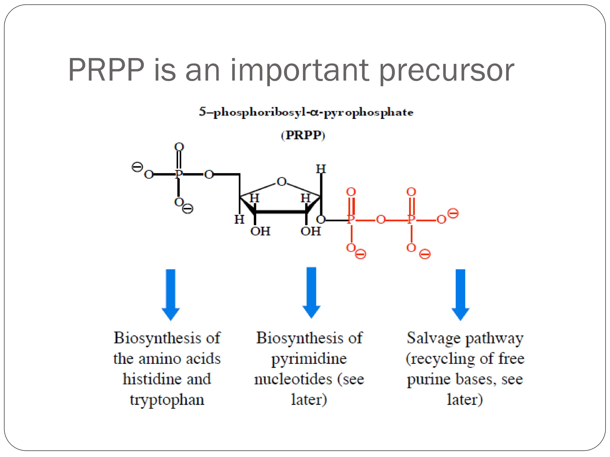 biosynthesis_of_ribonucleotides_and_deoxyribonucleotides.pdf