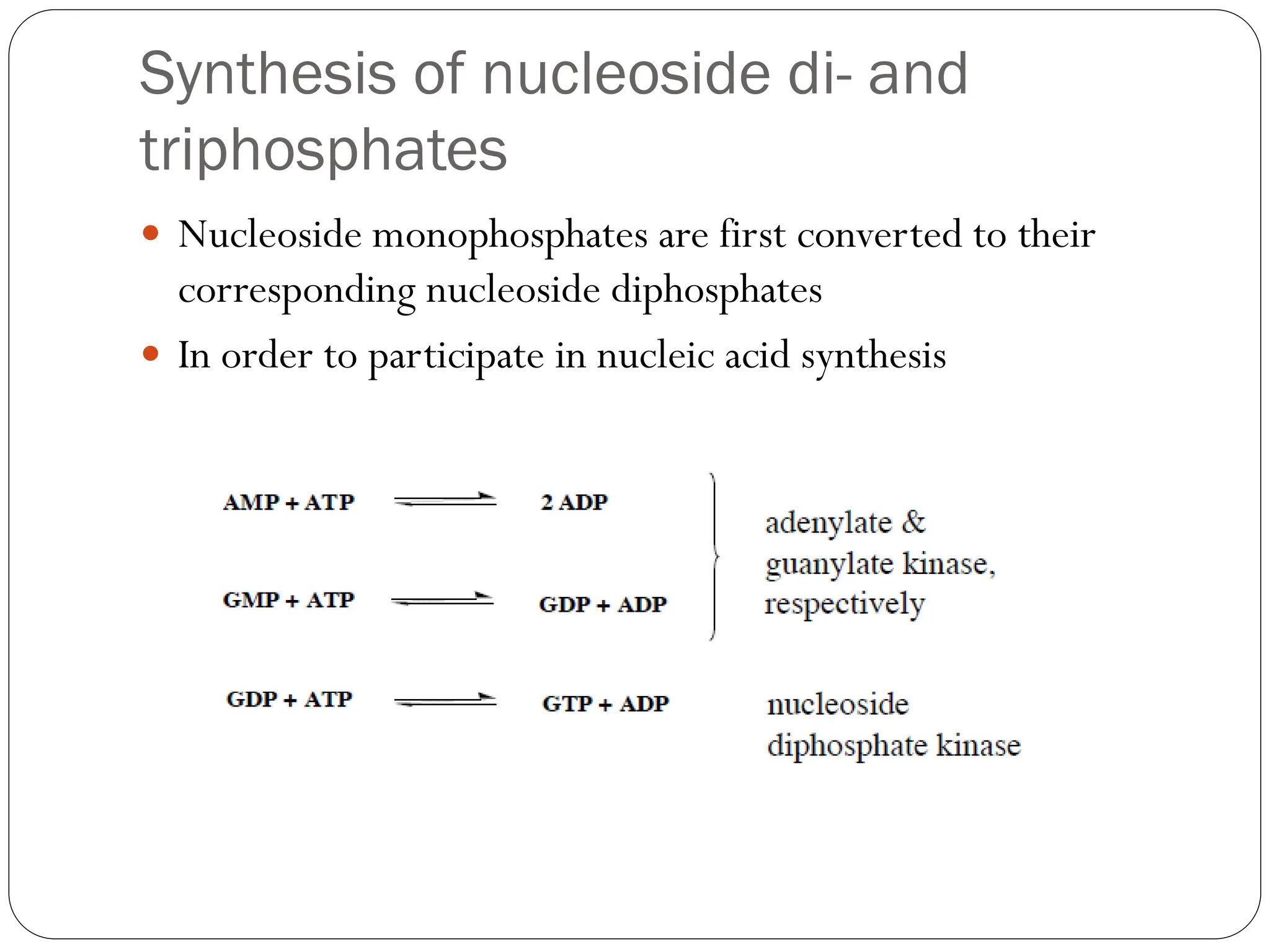 biosynthesis_of_ribonucleotides_and_deoxyribonucleotides.pdf