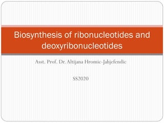 biosynthesis_of_ribonucleotides_and_deoxyribonucleotides.pdf