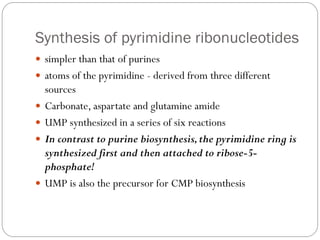biosynthesis_of_ribonucleotides_and_deoxyribonucleotides.pdf