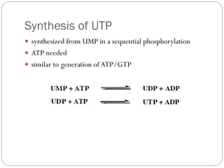 biosynthesis_of_ribonucleotides_and_deoxyribonucleotides.pdf