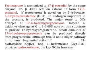 Biosynthesis of steroids | PPT