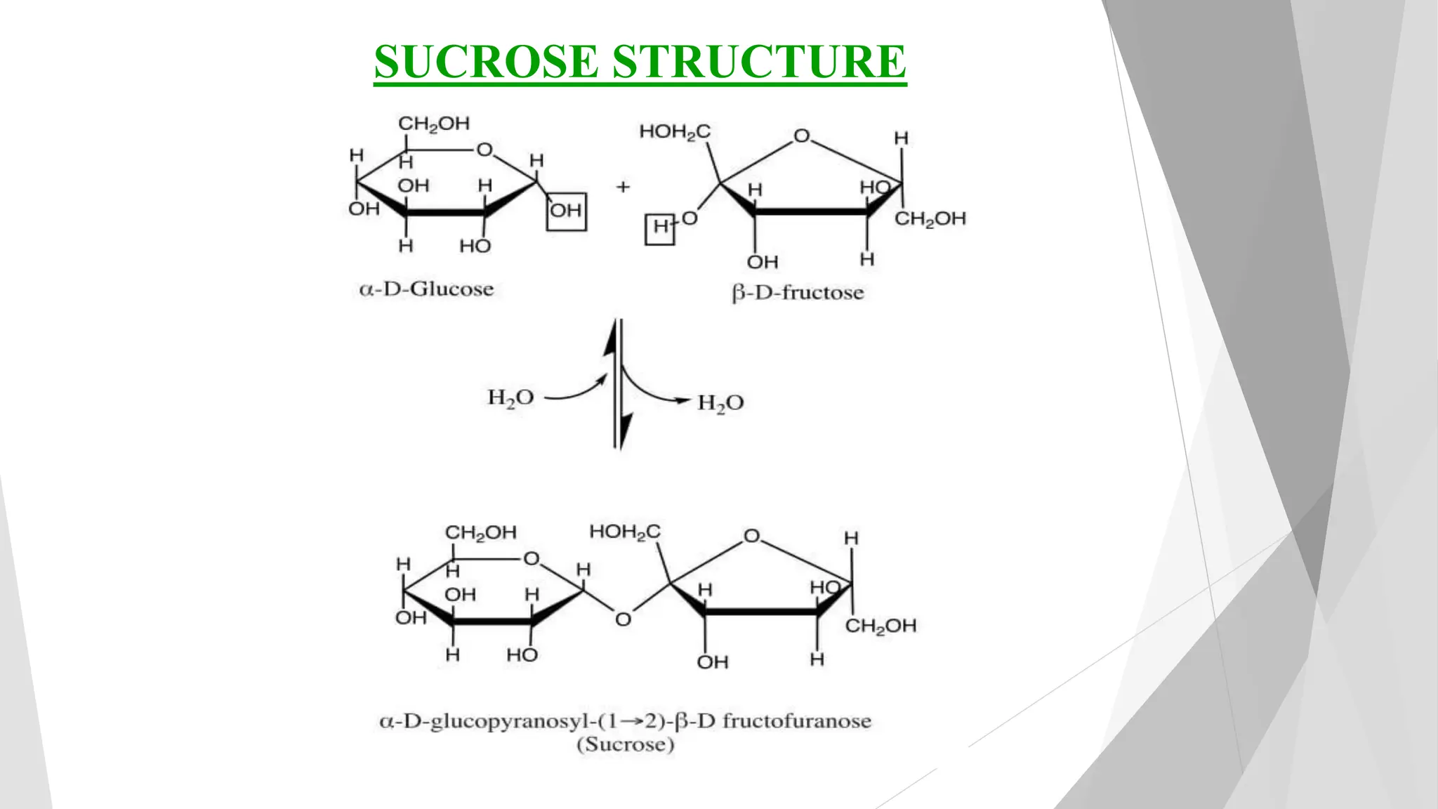 BIOSYNTHESIS OF SUCROSE IN PLANTSN BACTERIA | PDF