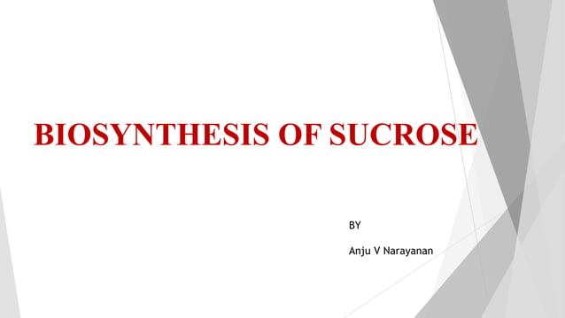 BIOSYNTHESIS OF SUCROSE IN PLANTSN BACTERIA | PPT