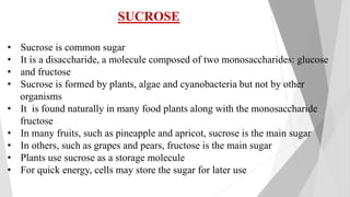 BIOSYNTHESIS OF SUCROSE IN PLANTSN BACTERIA | PDF