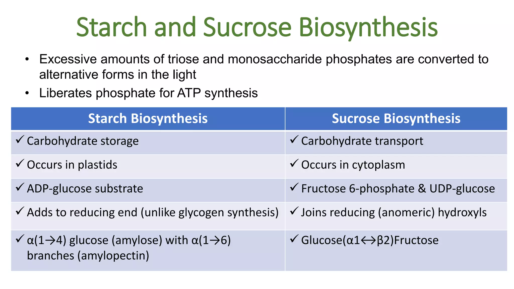 Biosynthesis of sucrose and starch | PDF