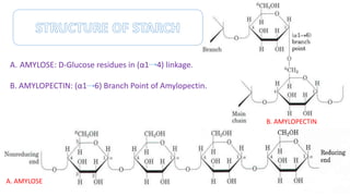 Biosynthesis of sucrose and starch | PDF