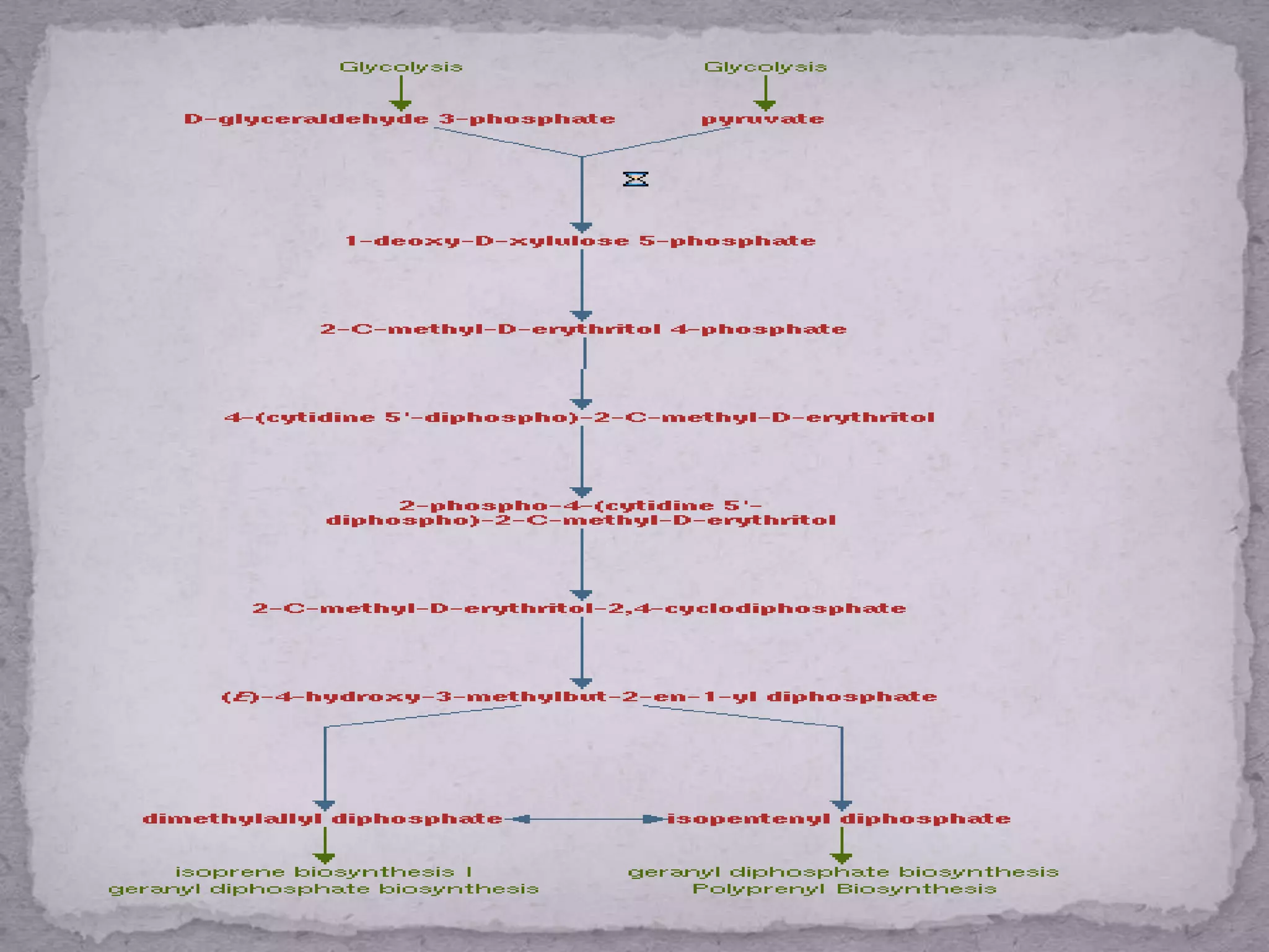 Biosynthesis Of Terpenes Pptx