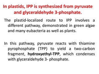 Terpenoids Biosynthesis | PPTX