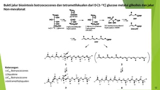 Biosynthesis of the triterpenoids, botryococcenes and (3).ppt