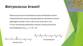 Biosynthesis of the triterpenoids, botryococcenes and (3).ppt