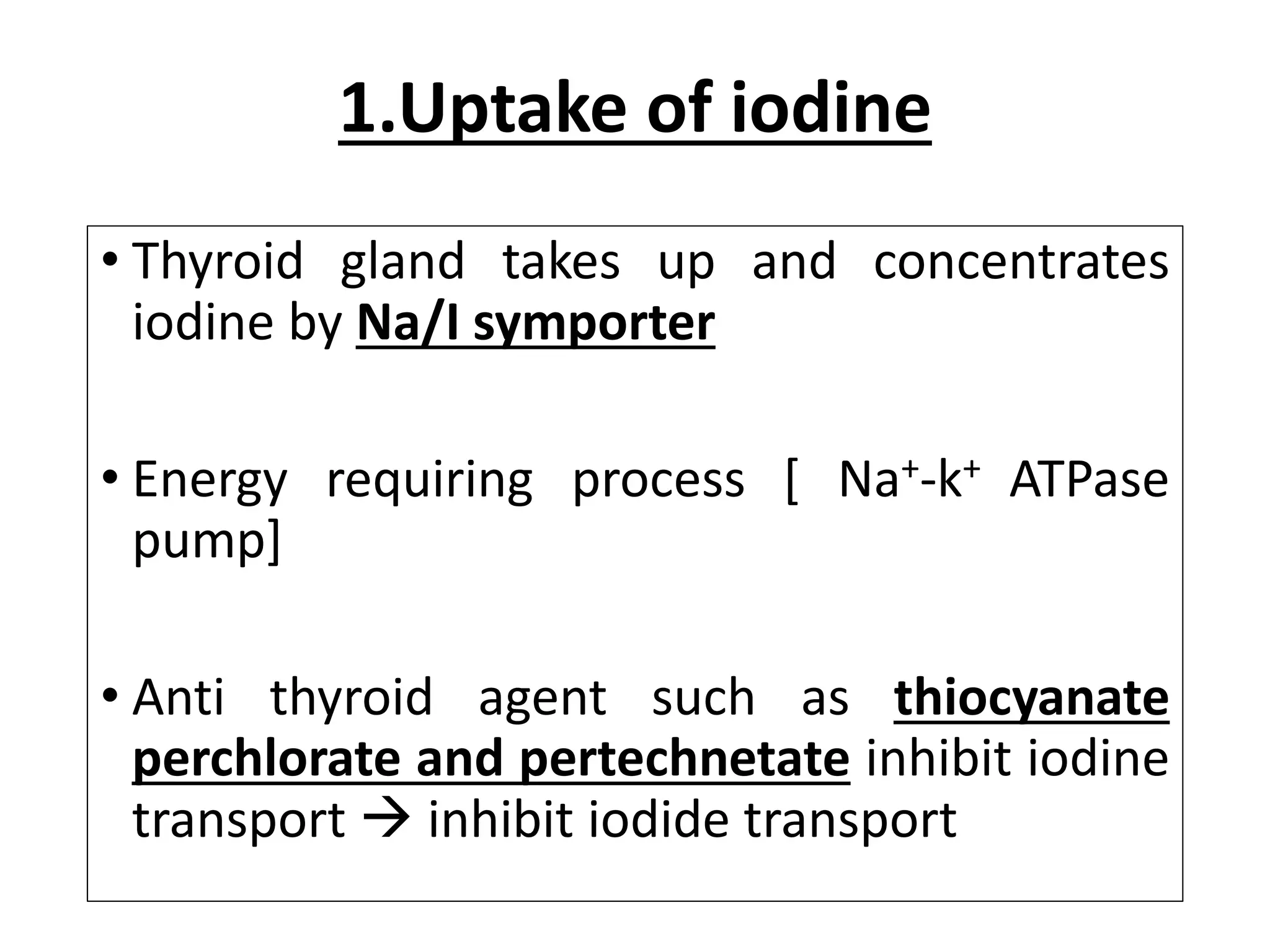 Thyroid hormone synthesis in our body@ mbbs | PPTX