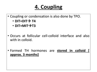 Thyroid hormone synthesis in our body@ mbbs | PPTX