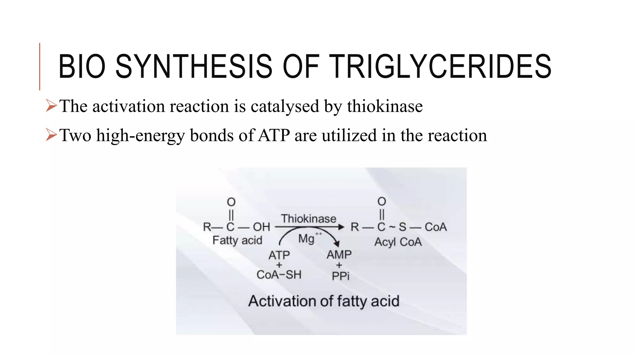 Biosynthesis of triacylglycerol | PPTX