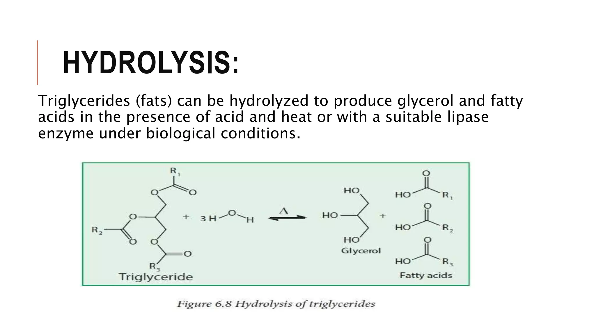 Biosynthesis of triacylglycerol | PPTX