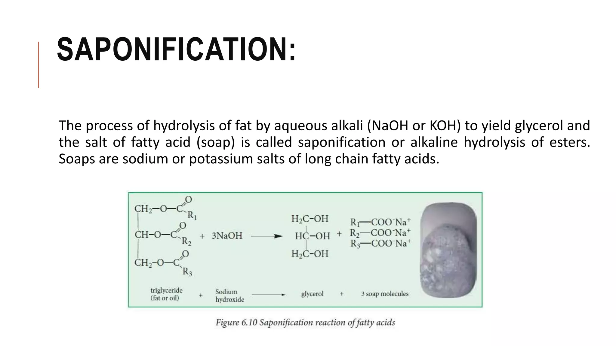Biosynthesis of triacylglycerol | PPTX