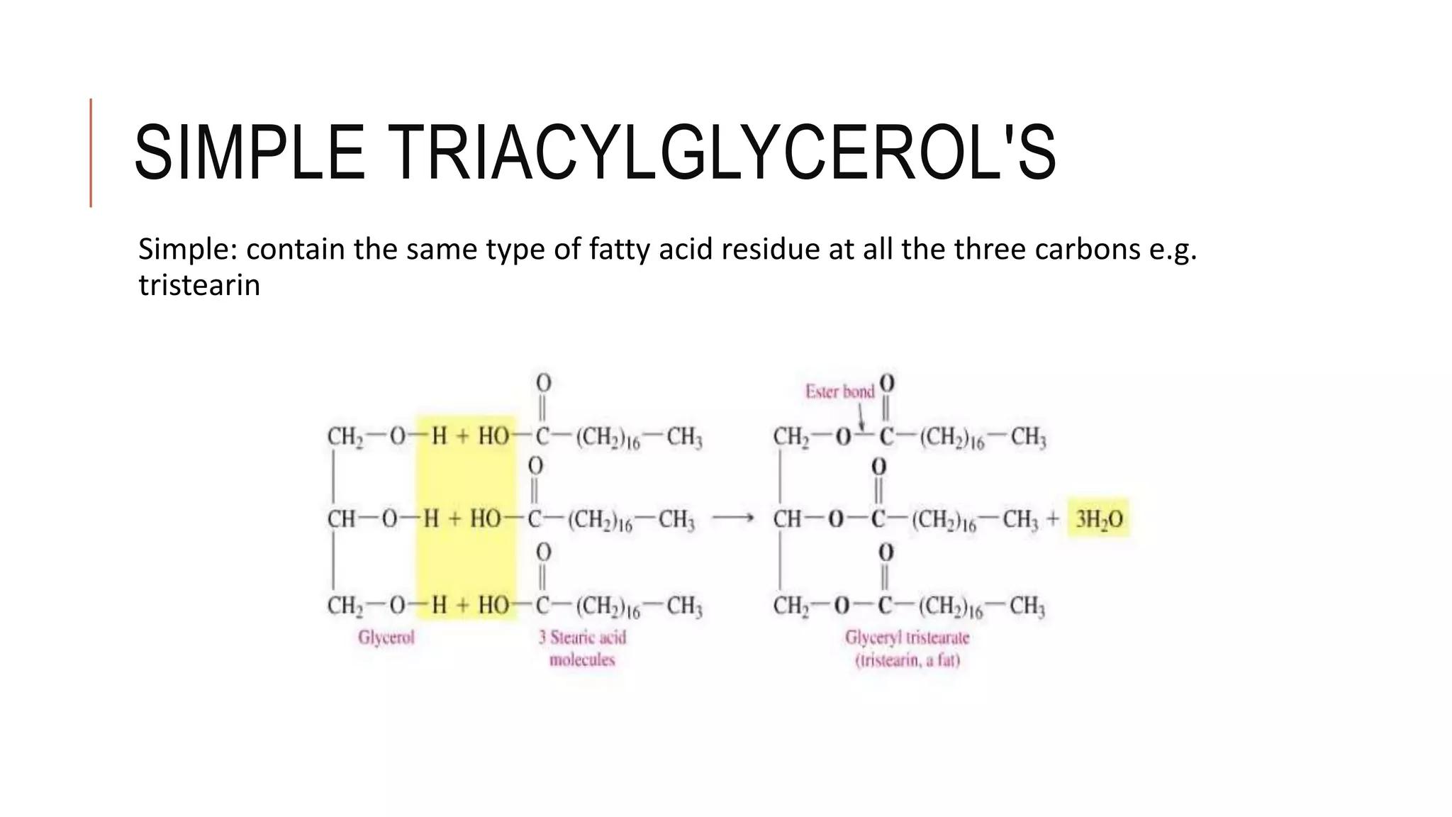 Biosynthesis of triacylglycerol | PPTX