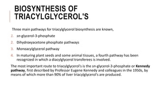 Biosynthesis of triacylglycerol | PPTX