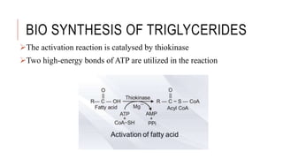 Biosynthesis of triacylglycerol | PPTX