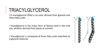 Biosynthesis of triacylglycerol | PPTX