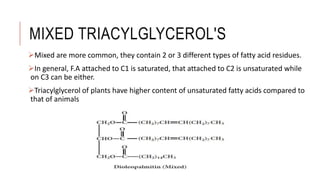Biosynthesis of triacylglycerol | PPTX
