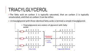 Biosynthesis of triacylglycerol | PPT