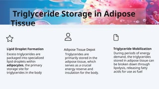 Biosynthesis of Triglycerides- Microbial Nutrition.pptx