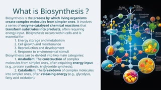 Biosynthesis of Triglycerides- Microbial Nutrition.pptx
