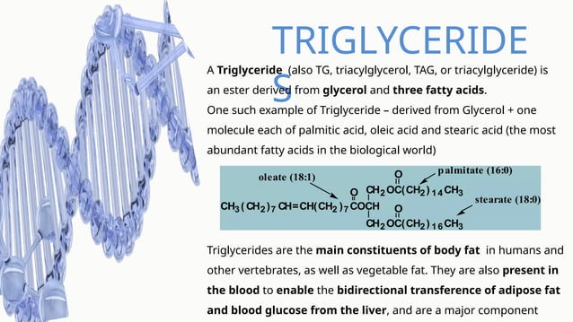 Biosynthesis of Triglycerides- Microbial Nutrition.pptx