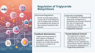 Biosynthesis of Triglycerides in three different mechanisms | PPTX