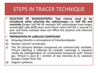 Biosynthesis Pathway And Radio Tracing Technique.pptx