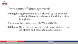 BIOSYNTHESIS, RELEASE AND STORAGE OF KININS | PPTX