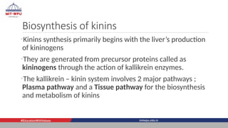 BIOSYNTHESIS, RELEASE AND STORAGE OF KININS | PPTX