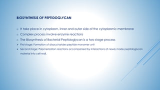 biosynthesis of the cell wall and antibiotics | PDF