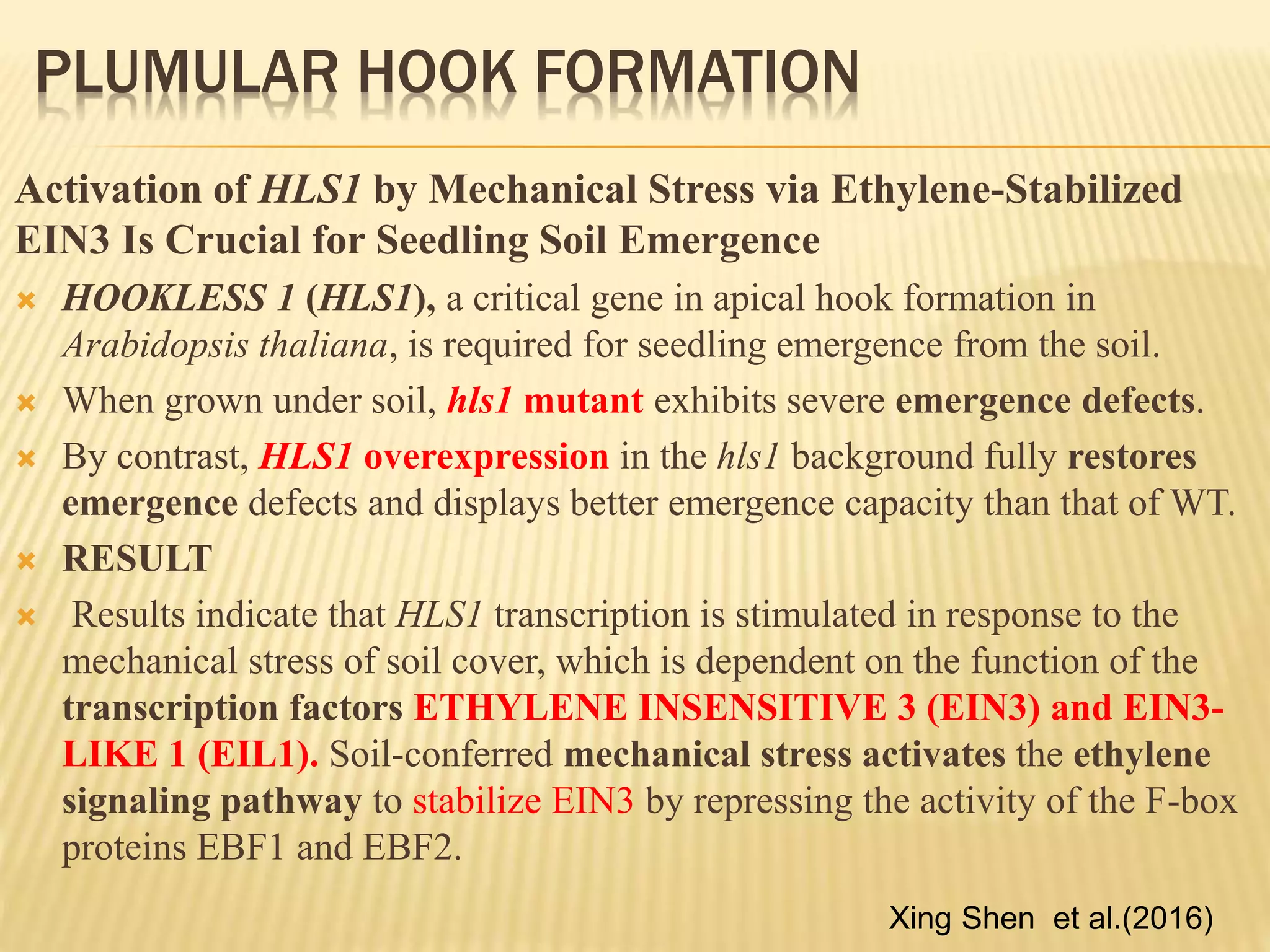 Biosynthesis, translocation, physiological role in cell level, basic ...