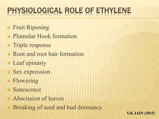 Biosynthesis, translocation, physiological role in cell level, basic ...