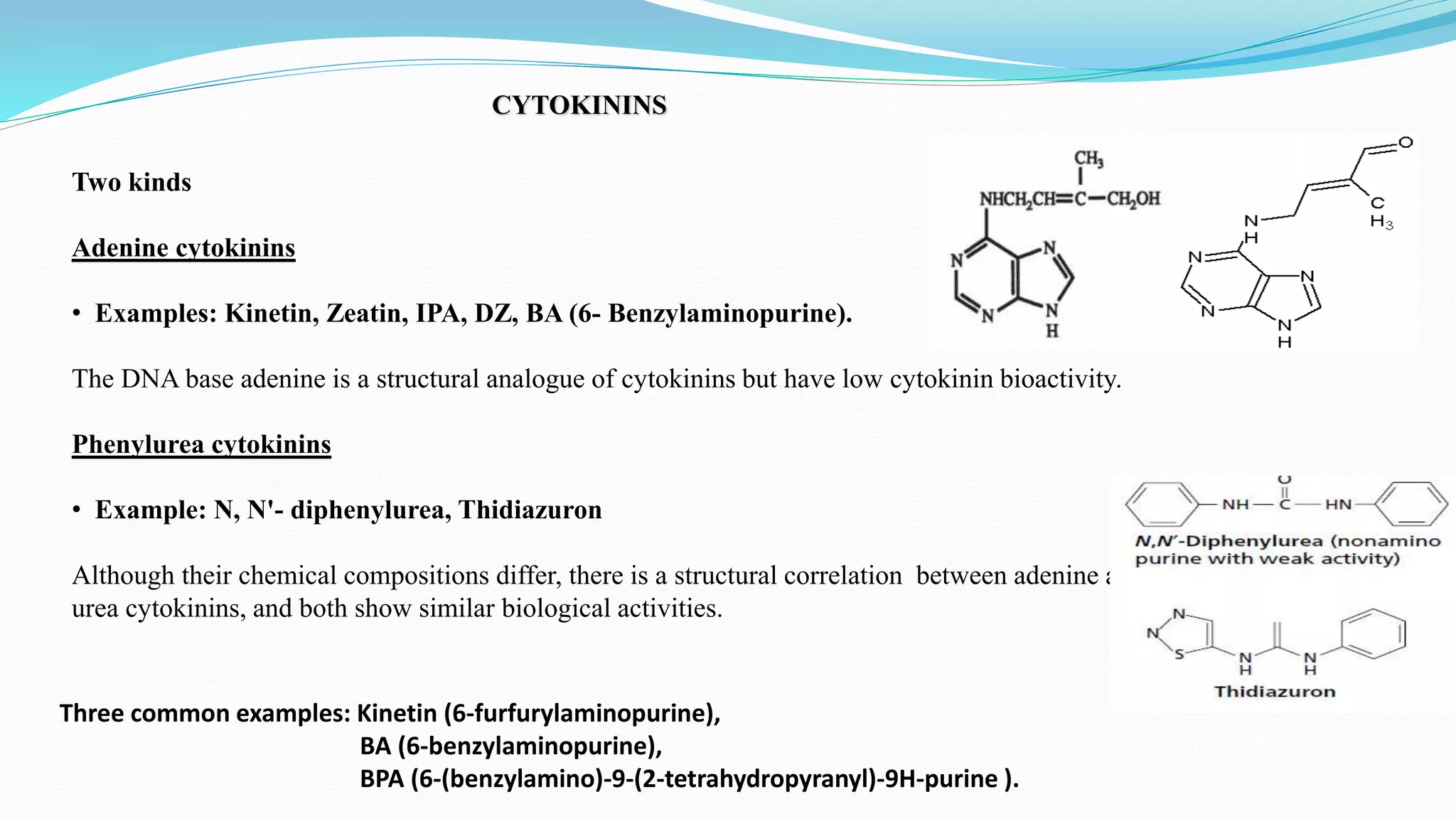 Biosynthesis, translocation, physiological role of cytokinins.pptx