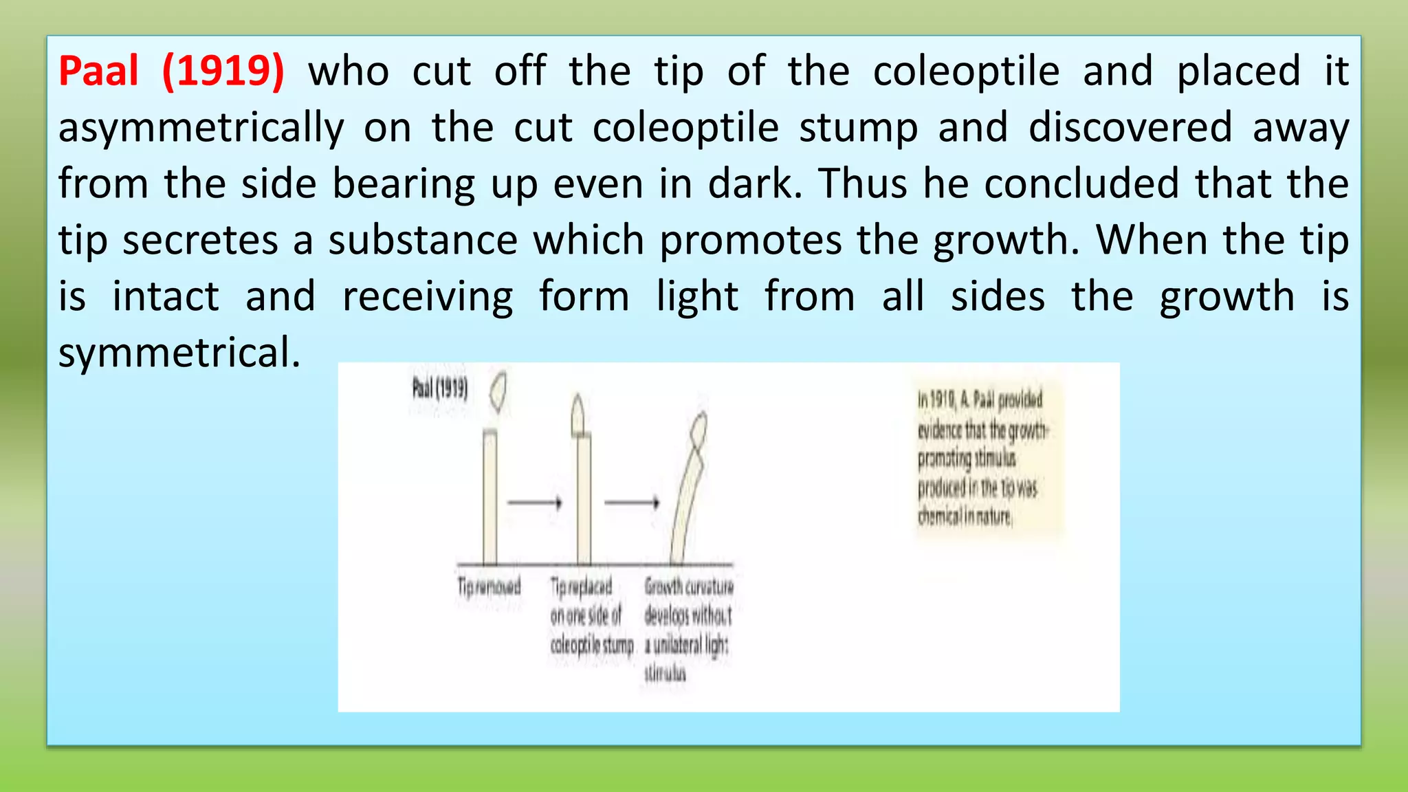 Biosynthesis, Translocation, Physiology role in cell.pptx | Gardening ...