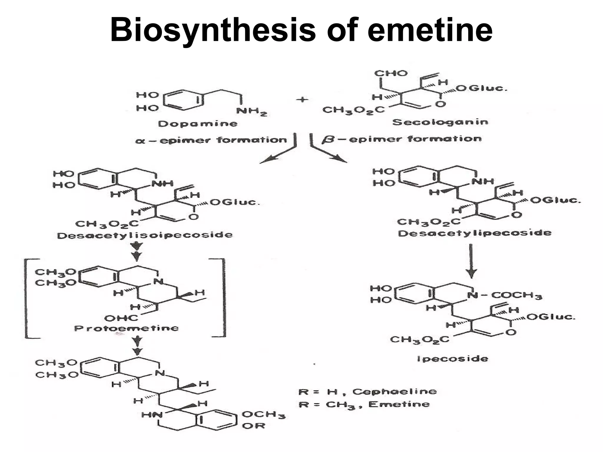Biosynthetic | PPT