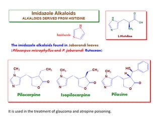 Biosynthetic classification of alkaloids | PPTX