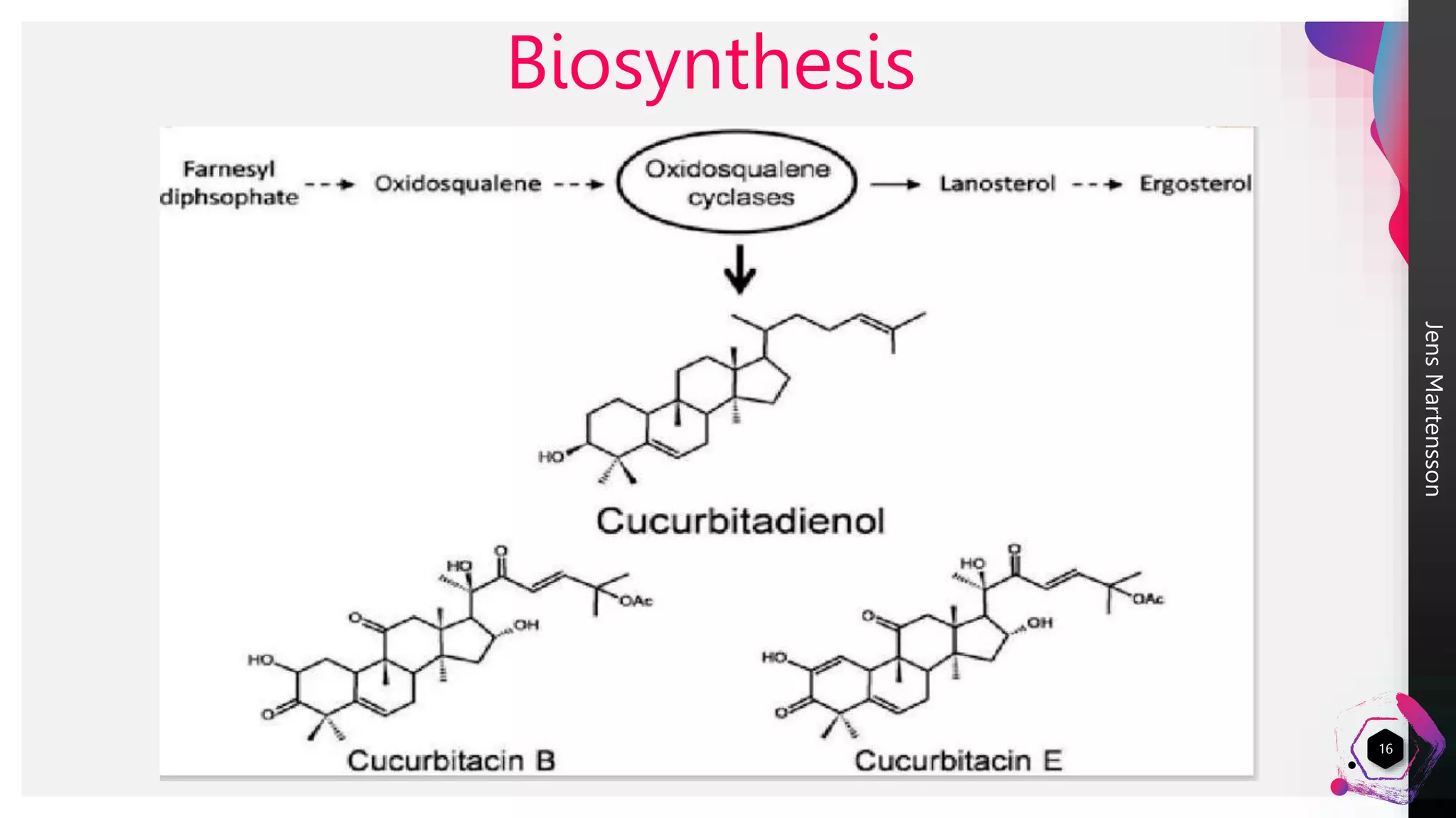 Biosynthetic Pathway for Terpenoids and Coumarins.pptx | Chemistry | Science