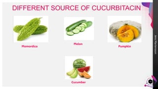 Biosynthetic Pathway for Terpenoids and Coumarins.pptx