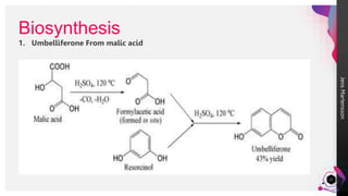 Biosynthetic Pathway for Terpenoids and Coumarins.pptx
