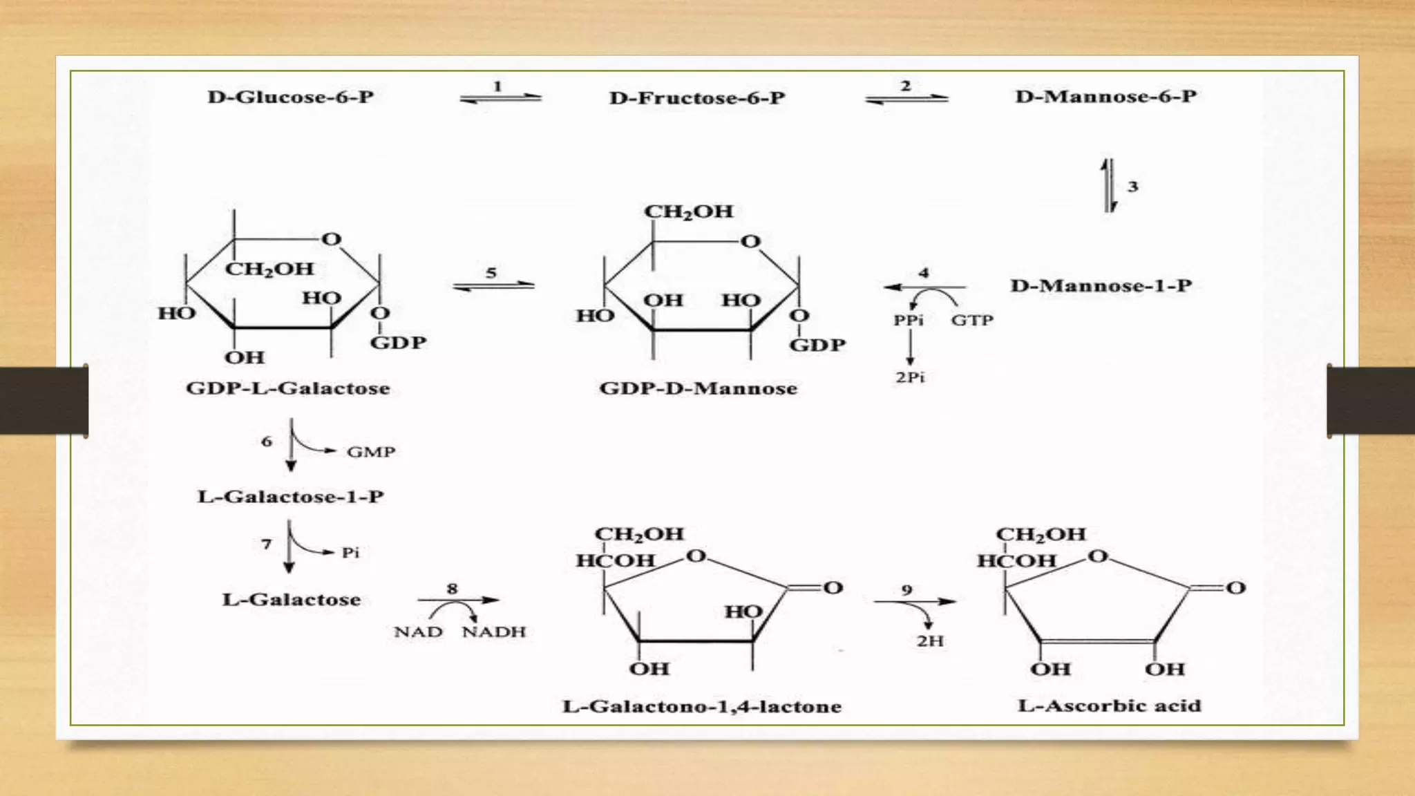 Biosynthetic pathway of ascorbic acid in higher plants....slides | PPT