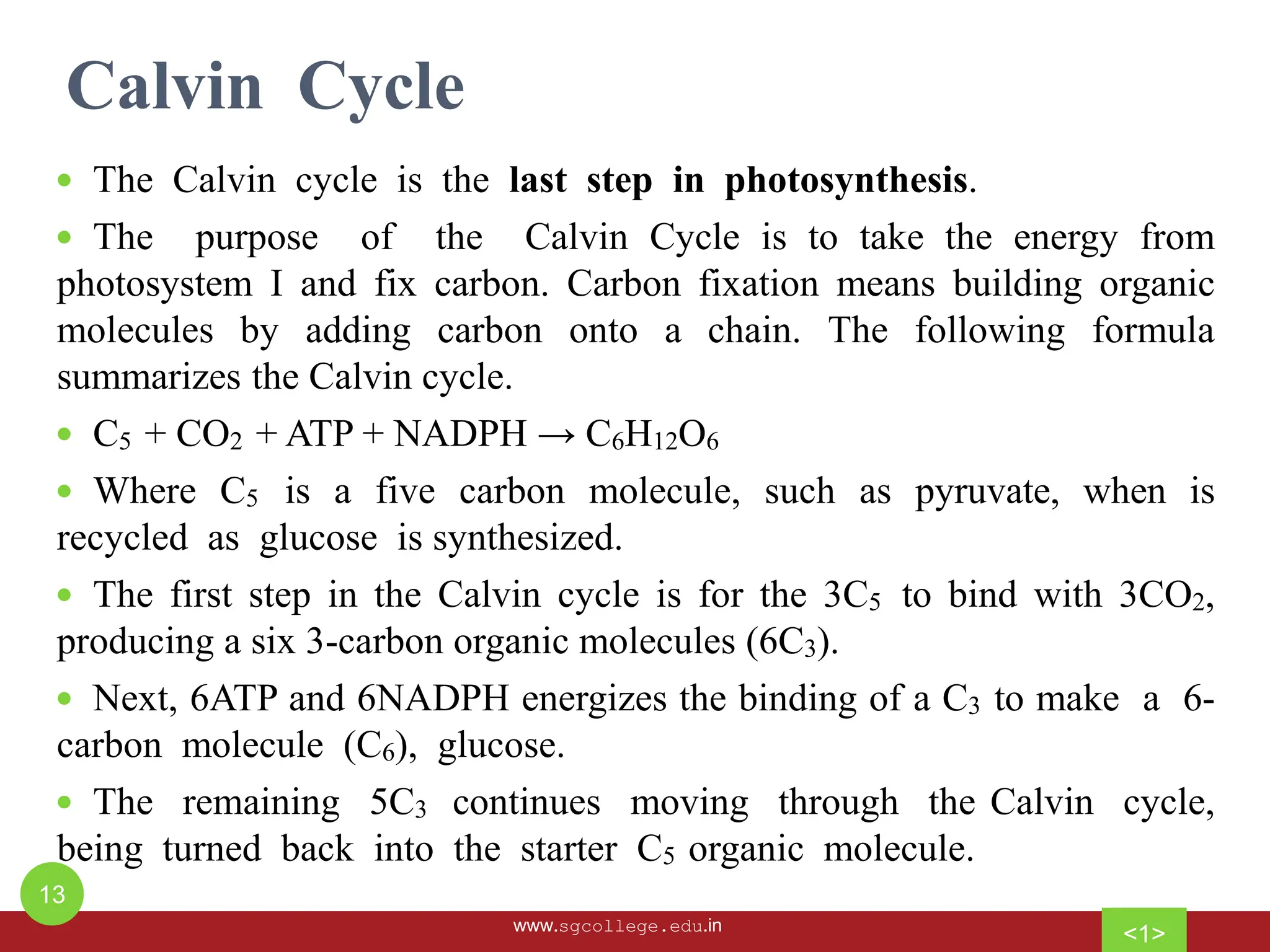 biosyntheticpathways by Abhishek mahajan.ppt
